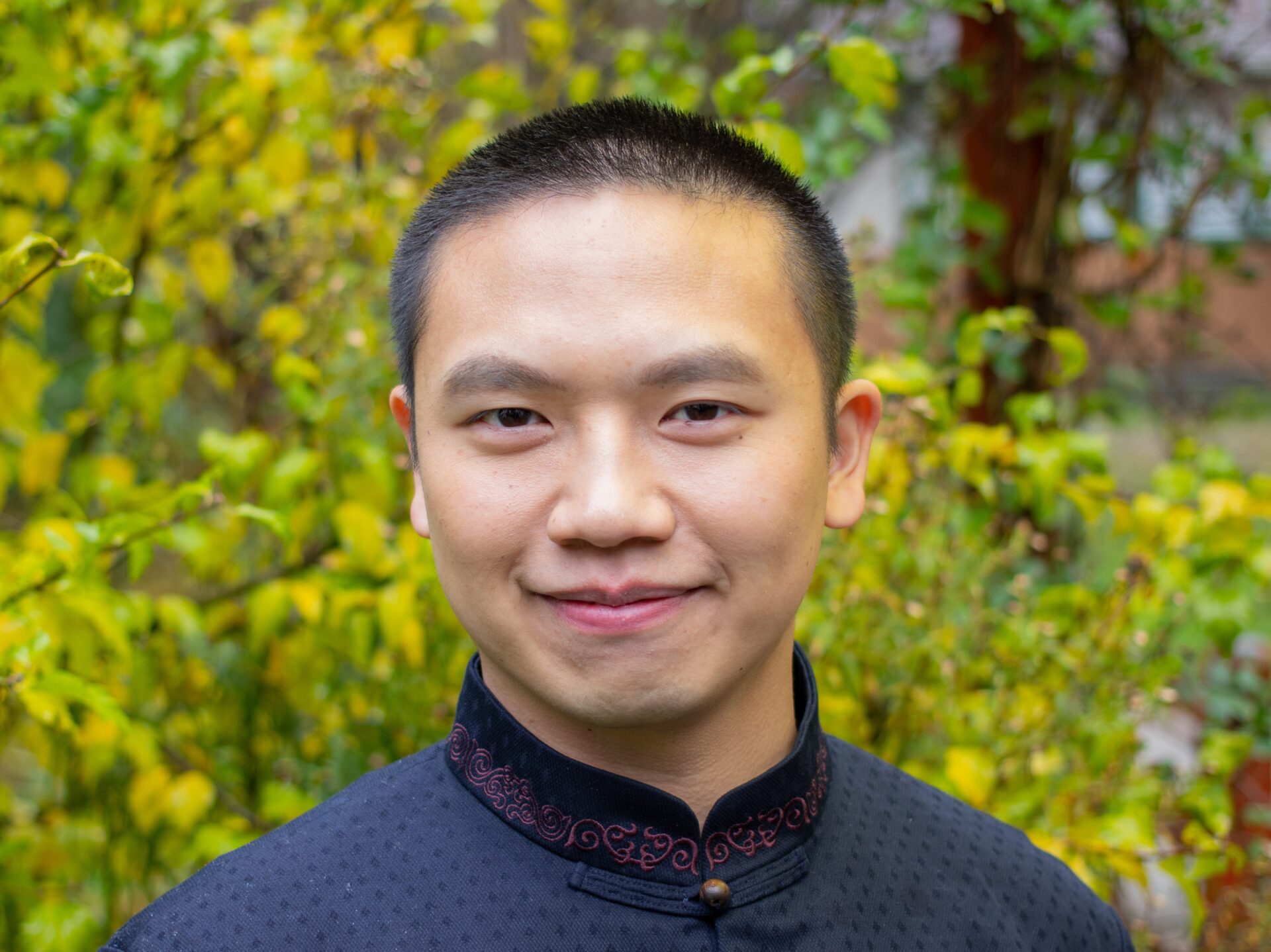 Traditional Chinese Medicine – Staging